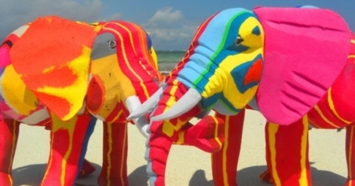 Discarded flip flops on the beaches a major problem for the environment