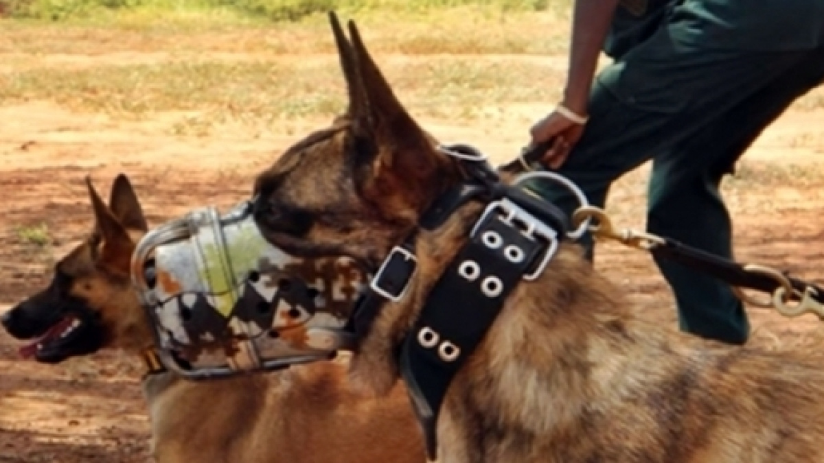 Facebook and and other social sites help reach millions in war against ...