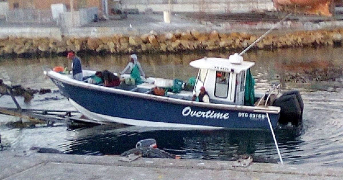 Fishing: snoek season on South Africa's west coast