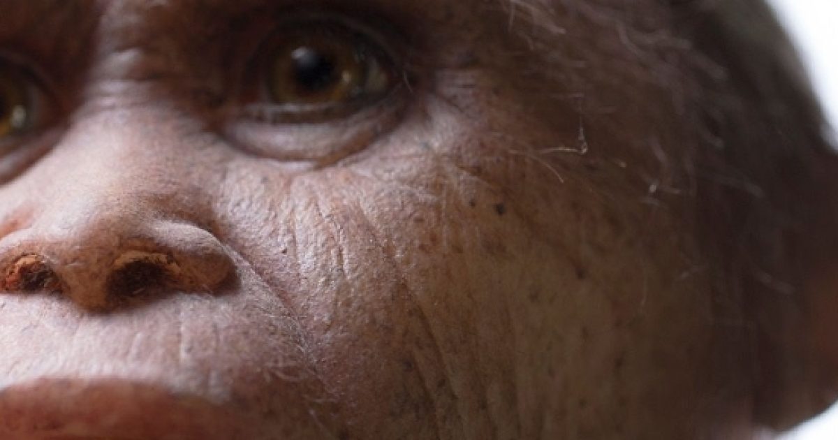 Hobbits - science finds real evidence that 'Hobbits' once existed