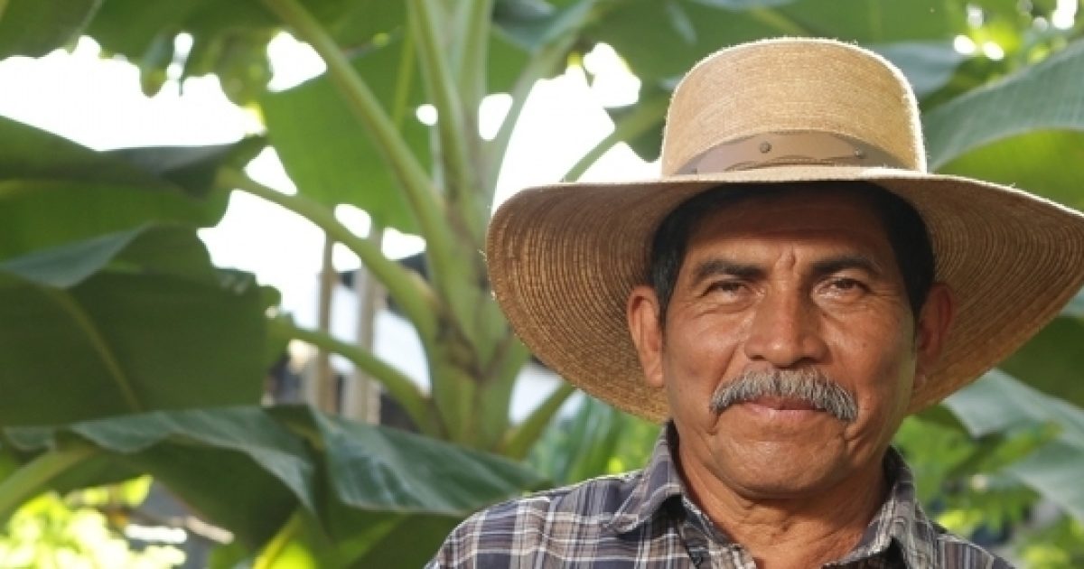 Premio Nobel per l'ecologia all'agricoltore maya in lotta per l'ambiente