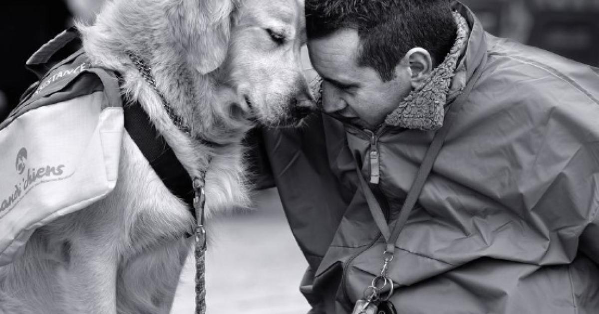 Exhibit in Indianapolis highlights the true bond between dog and human