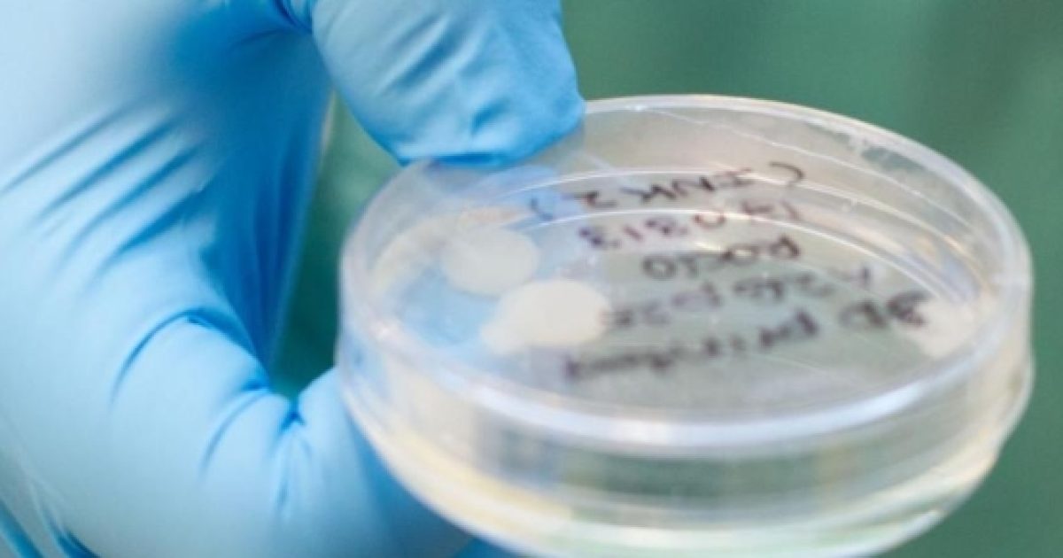 Researchers 3D print human cartilage using stem cells