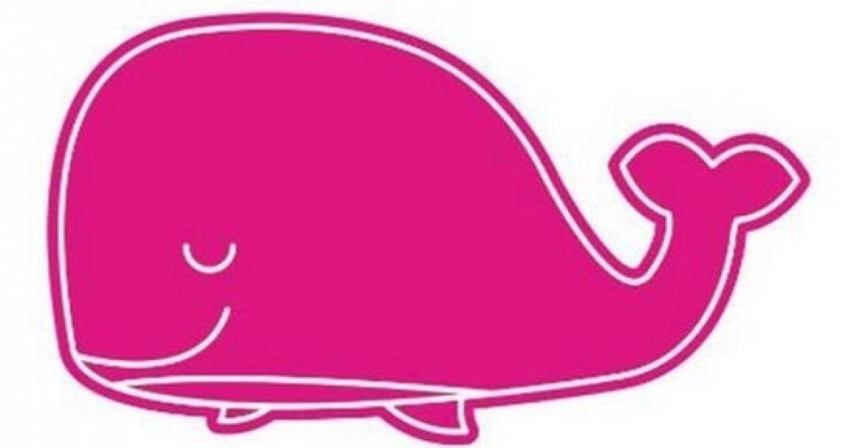 Ecco cosa fare se ci appare una balena rosa sul web