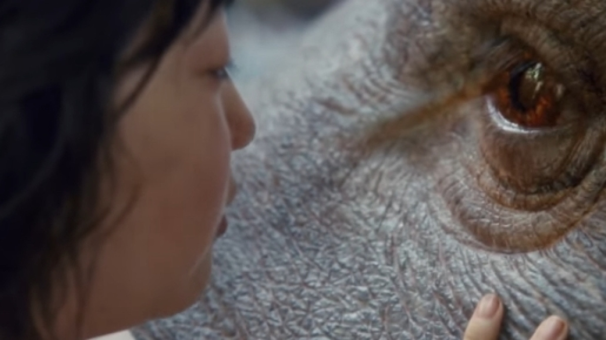 ‘Okja’ first trailer is emotional, filled with powerful messages