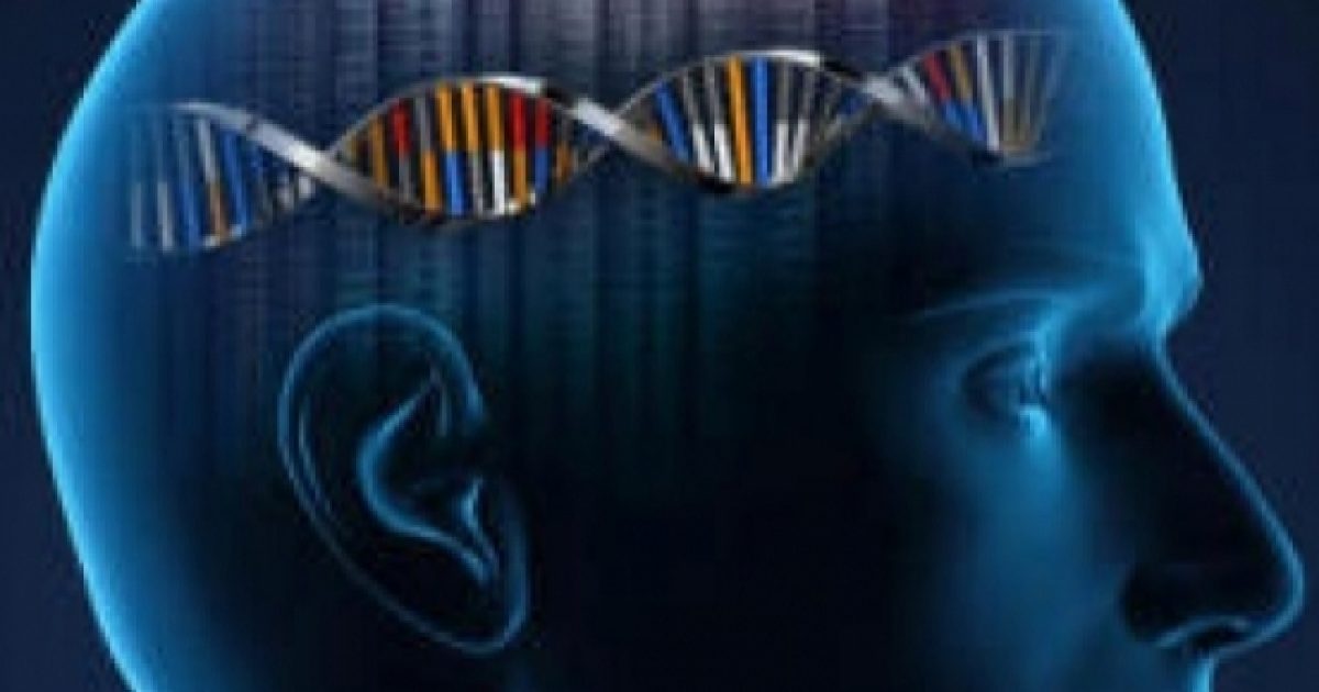 A new study shows how much genes affect intelligence