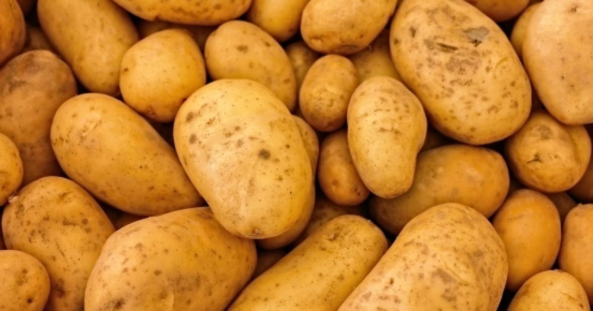 China plans to grow potatoes on the moon
