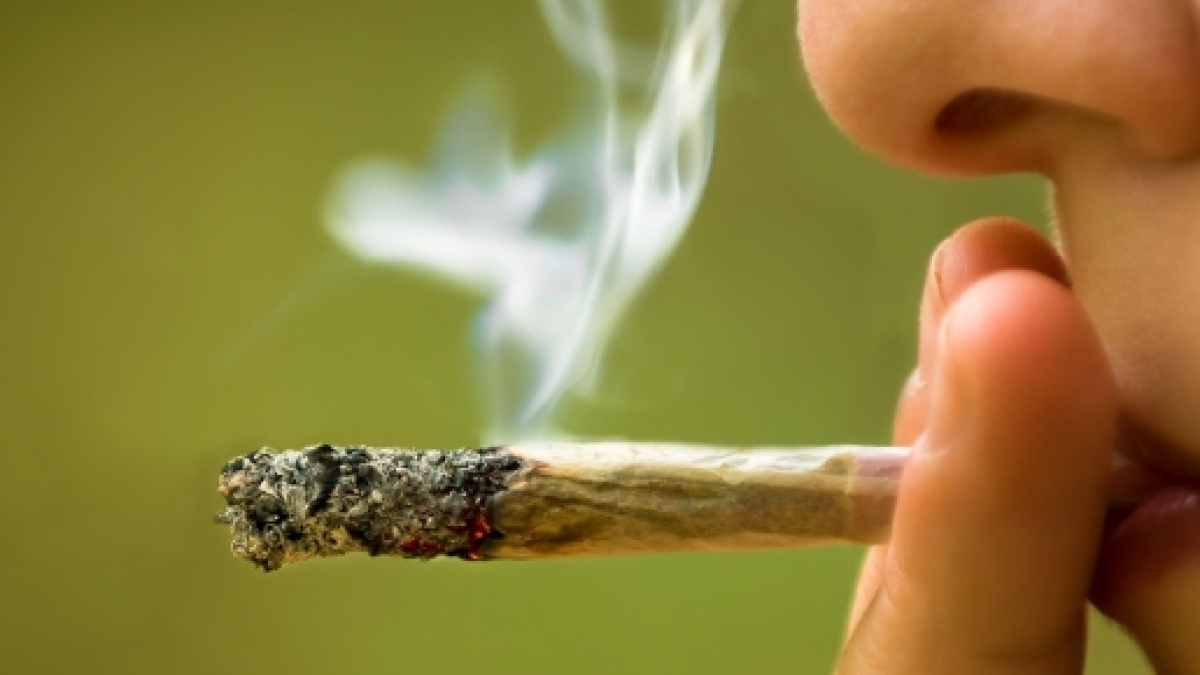 The High Will Rise Again: Weed Culture in the American South