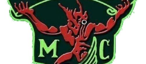 Outlaw motorcycle gang members and their associates charged with ...