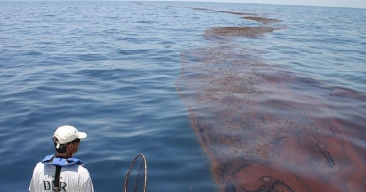 Two international shipping companies fined $1.9 million for polluting ...