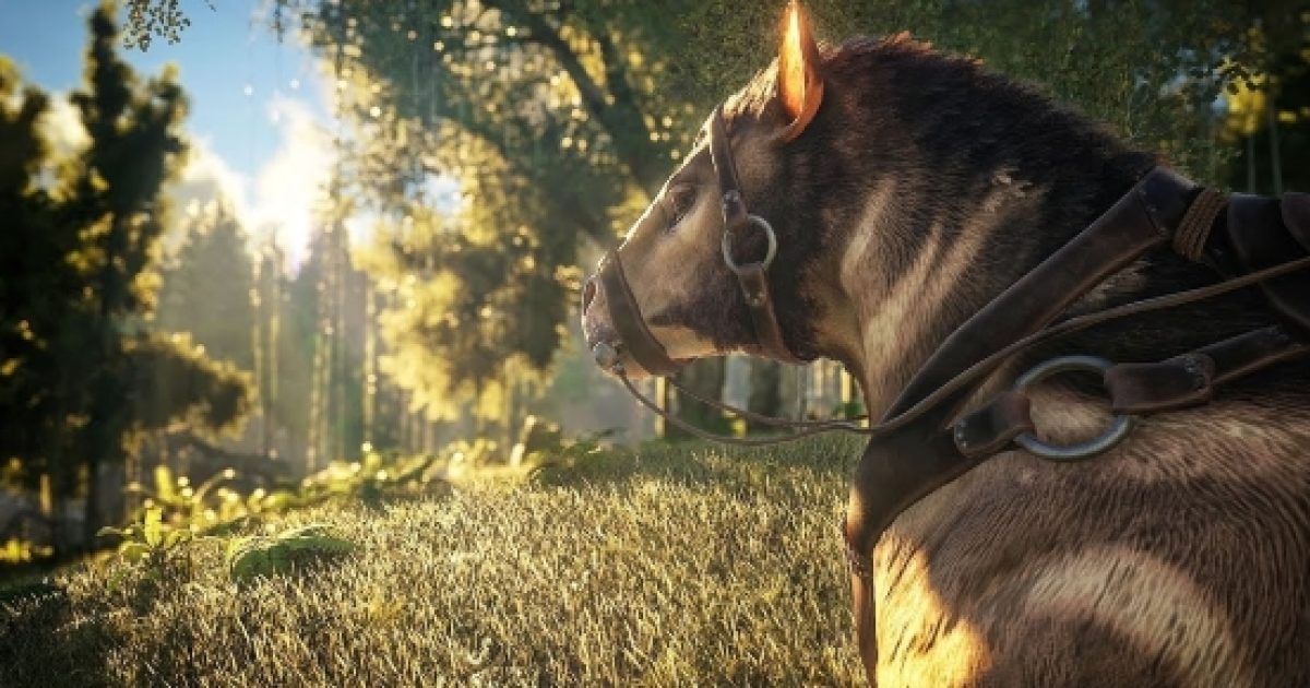 'Ark Survival Evolved': Studio Wildcard announces Evolution event