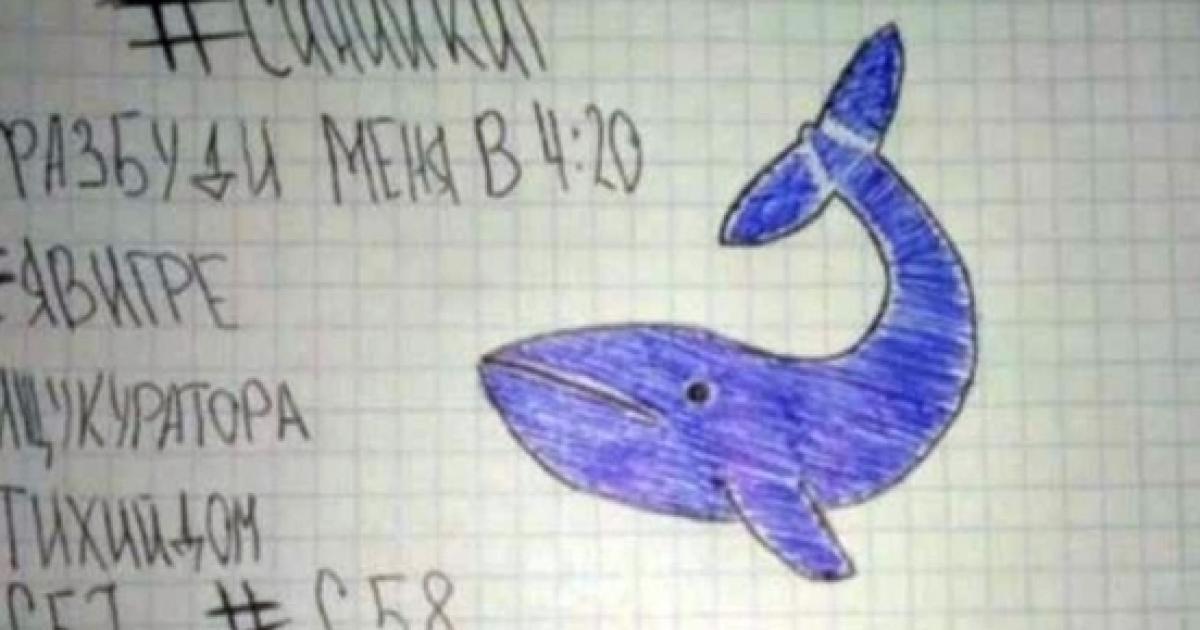 Juego de la Ballena Azul: primera víctima fatal en Argentina