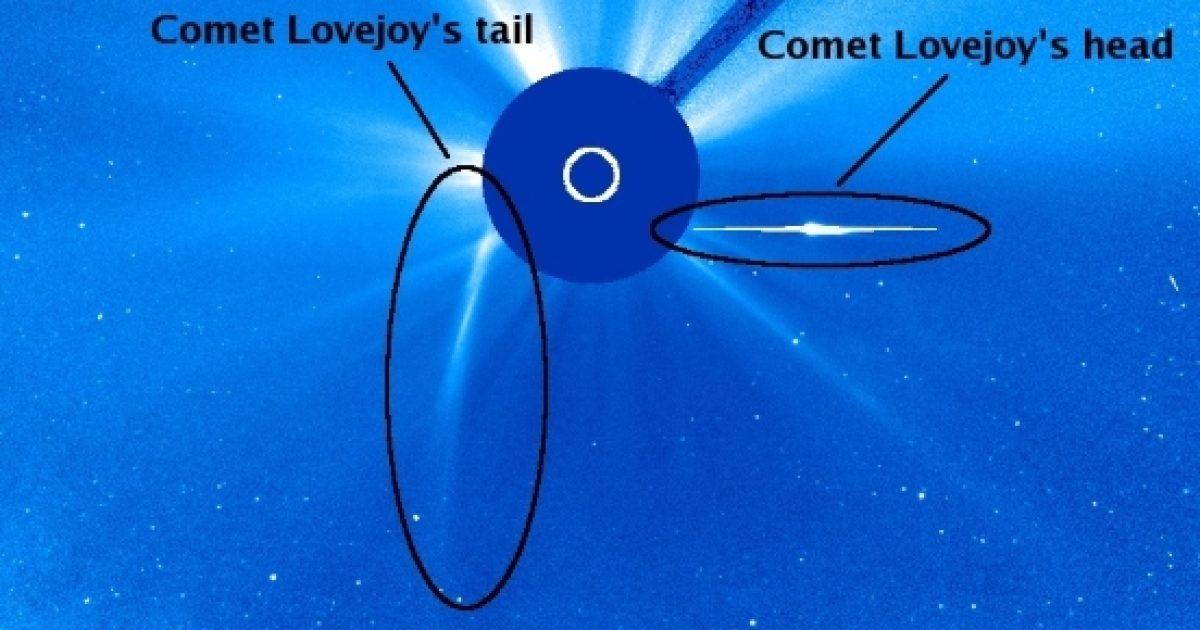Amateur comet discoveries: science we learn