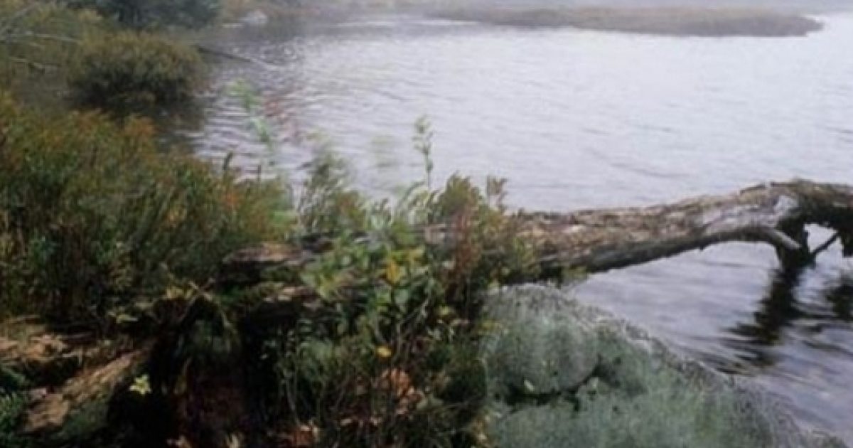 Disappearences galore in the Bennington Triangle