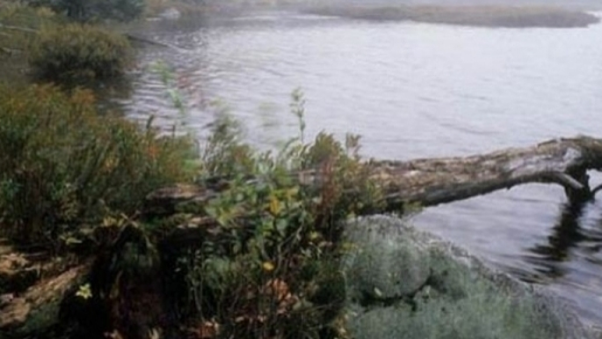 Disappearences galore in the Bennington Triangle