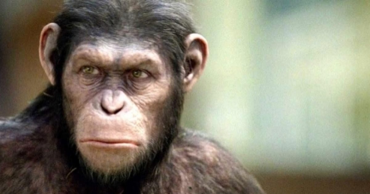 'War for the Planet of the Apes': Will Rodman would be so proud of Caesar