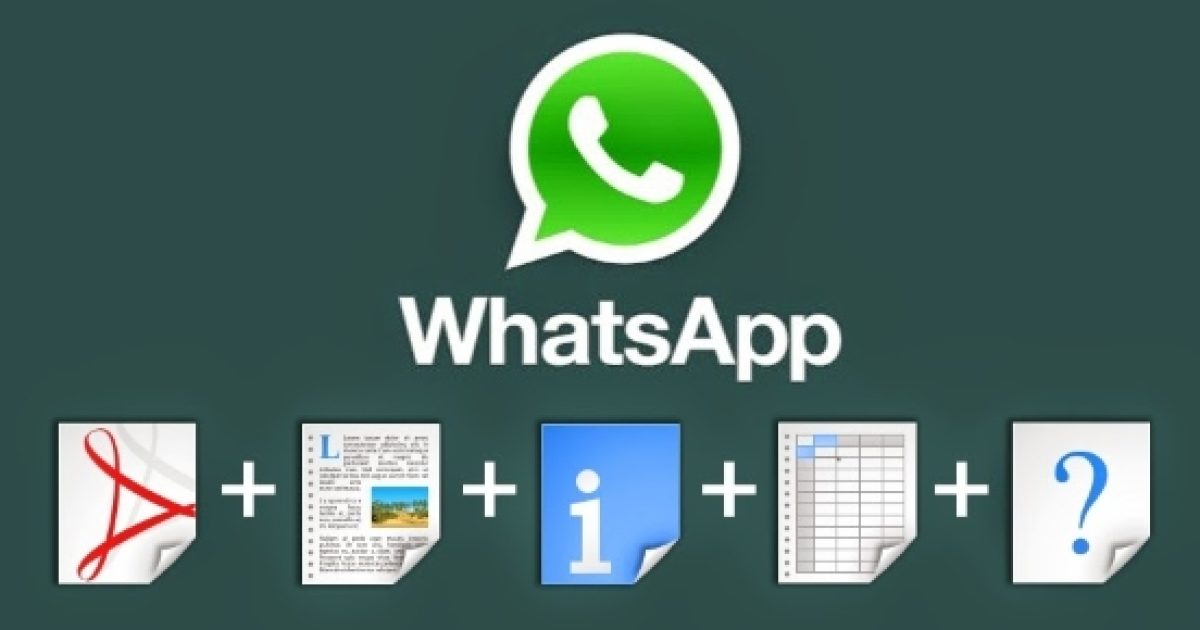 Now you can share any file you want using 'WhatsApp'