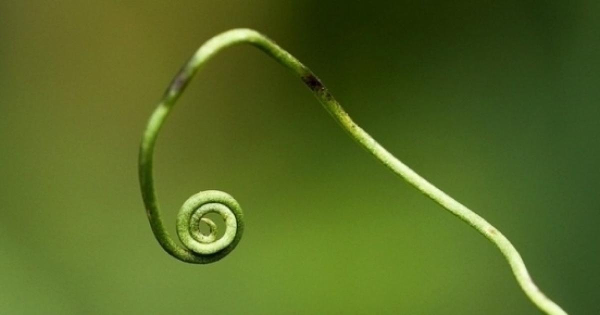 Stanford University researchers develop a magical robot that can grow ...