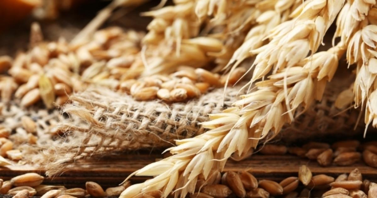 Grano italiano o importato: la scelta ai consumatori?