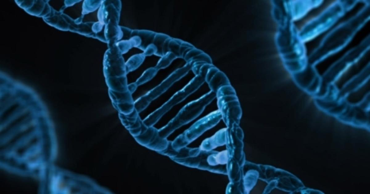 US scientists edit human embryo genes, genetically modified babies now ...