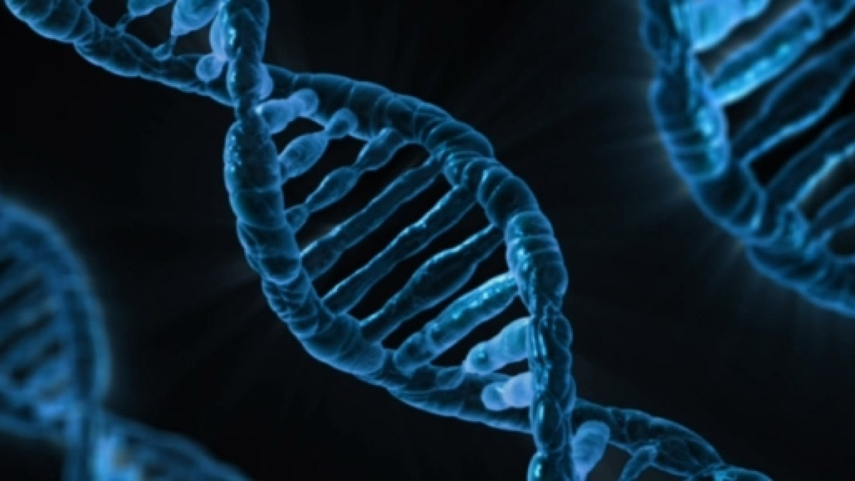 US scientists edit human embryo genes, genetically modified babies now ...