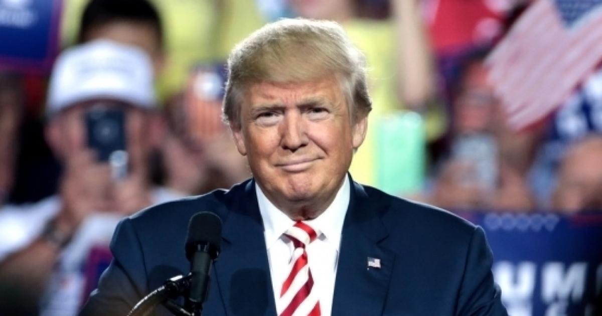 The obsession with Donald Trump