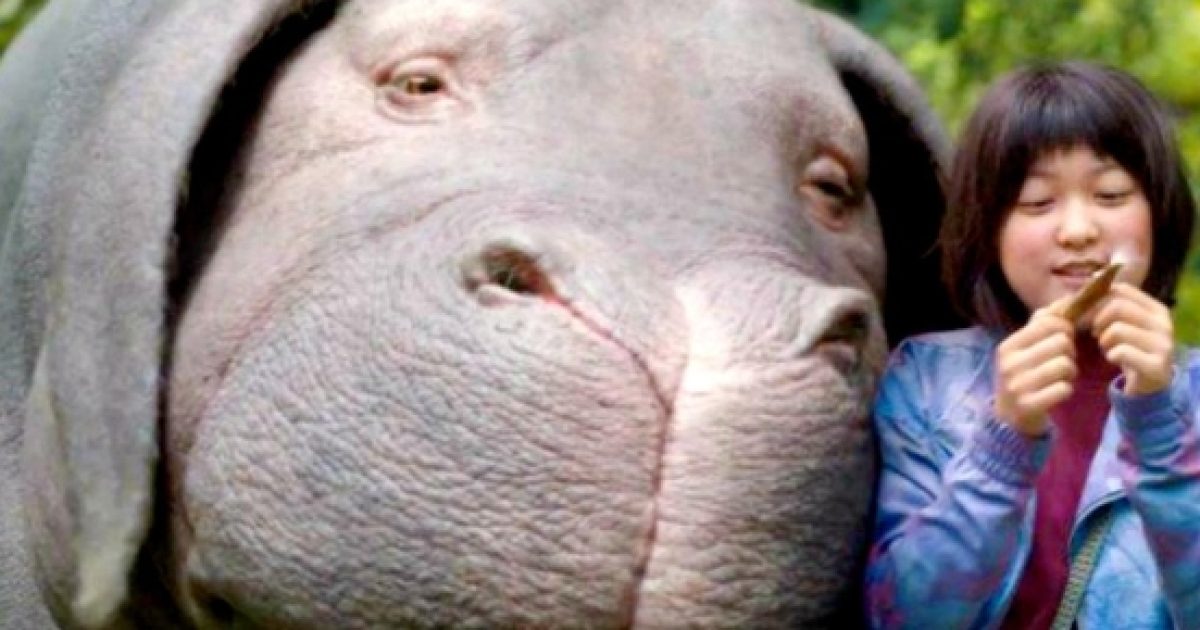 New to Netflix 'Okja' explores the relationship of Okja and Mija