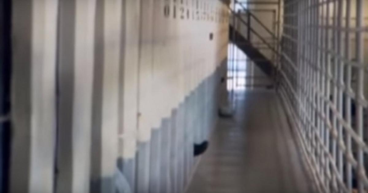 Law enforcement takedown of 11 alleged Gangster Disciples members in 3 ...