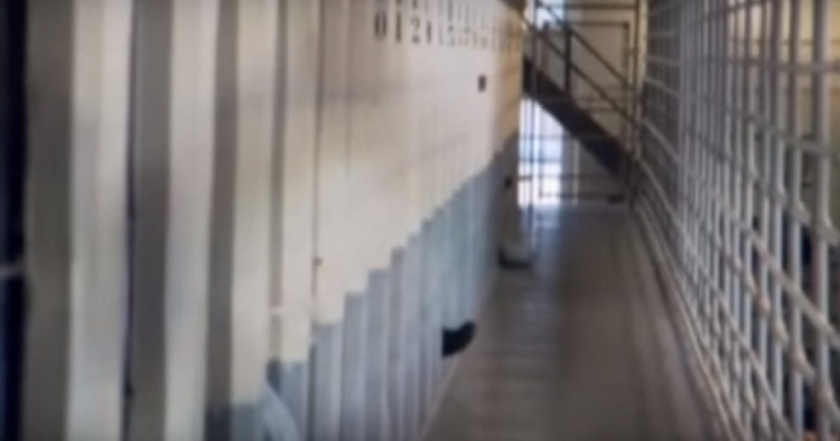 Law enforcement takedown of 11 alleged Gangster Disciples members in 3 ...