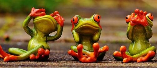 Frogs enjoyed their time on Earth after mass extinction of dinosaurs