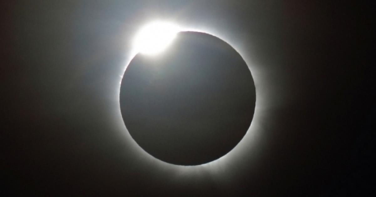 How do plants and animals react during a total solar eclipse?