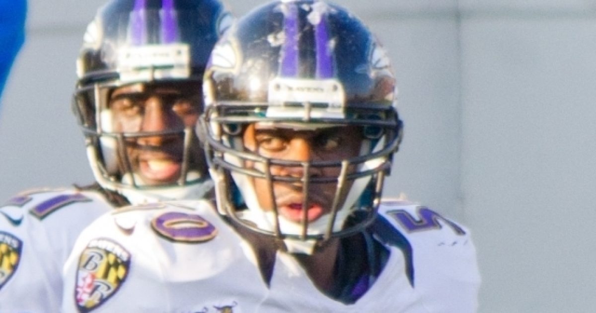 Baltimore Ravens lose yet another player for the season