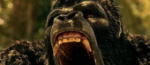 Gorilla Grodd time-traveling to ‘DC’s Legends of Tomorrow’