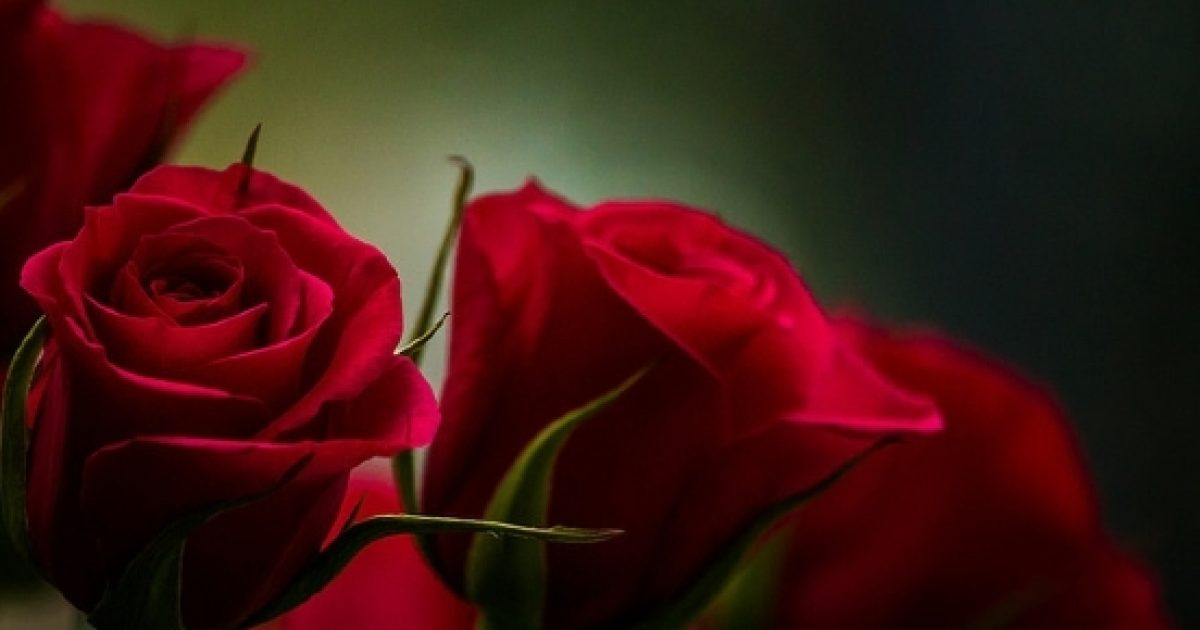 'The Bachelor' 2018 cast: new name emerges for Arie Luyendyk, Jr.'s season