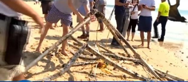 Scientists baffled over mysterious object on Rhode Island beach