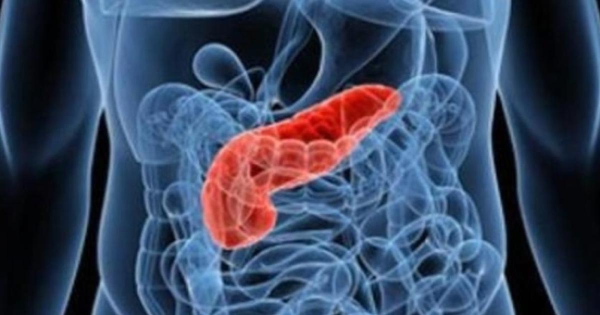 Tumore al pancreas: le ultime novità della ricerca