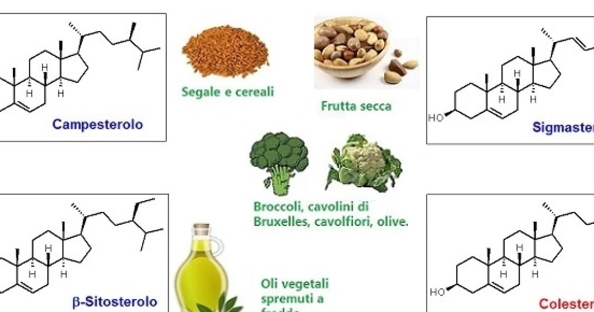 Dopo i 55 anni, i fitosteroli non dovrebbero mancare nella dieta quotidiana