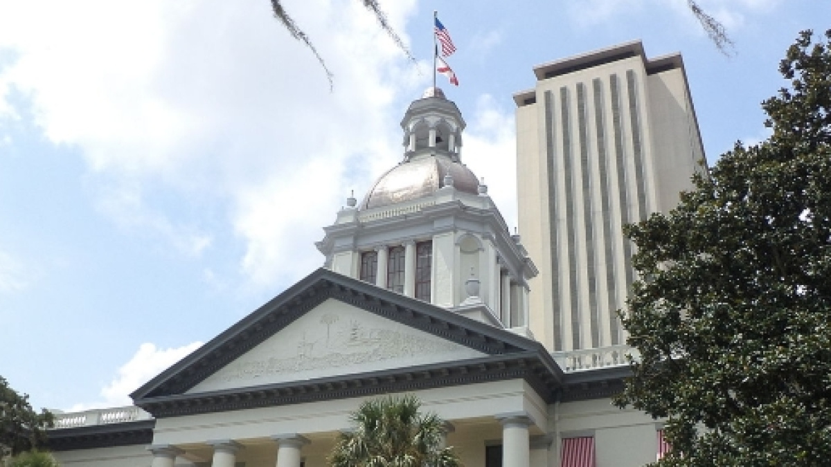 What happens to the Seminoles without Francois?