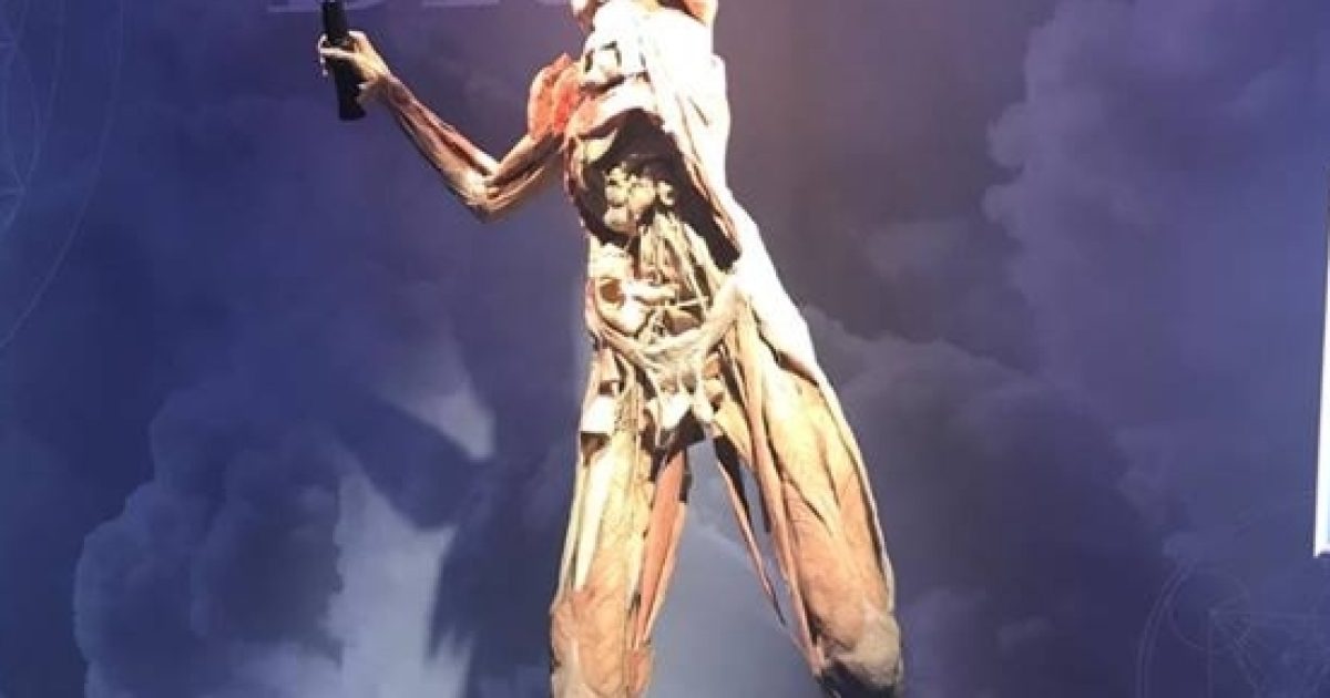 The Dead Body Exhibition is back on tour