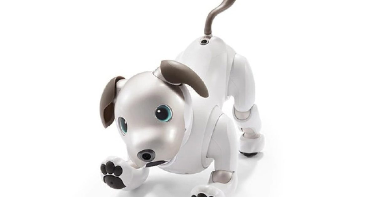 Robot dog with advanced artificial intelligence launched by Sony