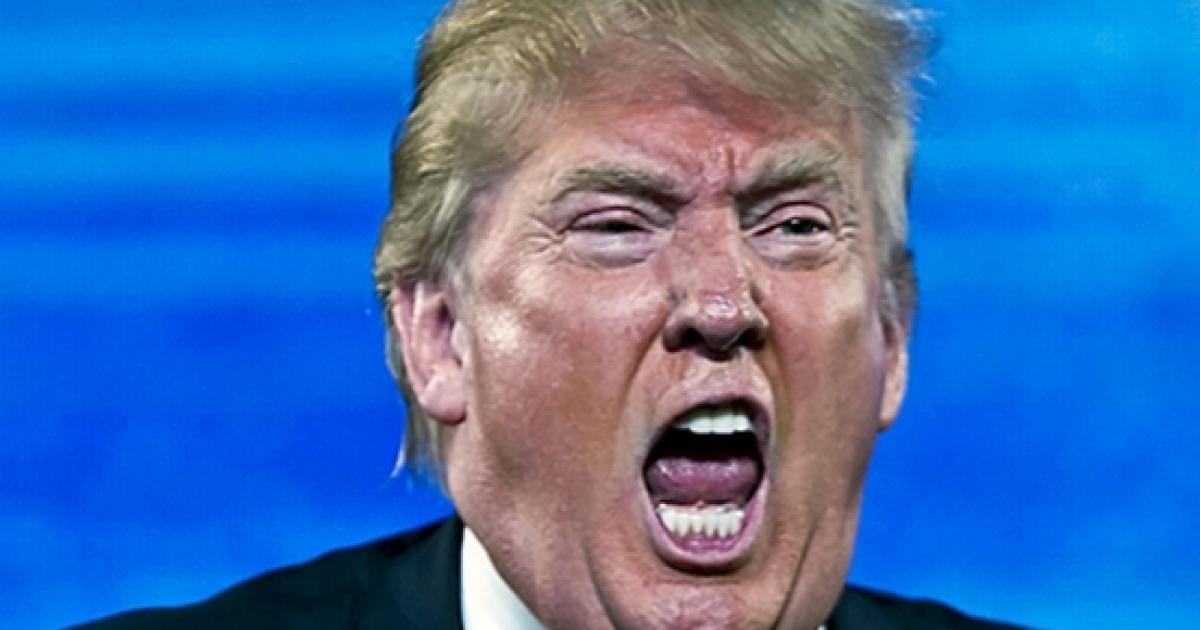 Trump lashes out about 'foreign born' terrorists in tweetstorm, Twitter ...