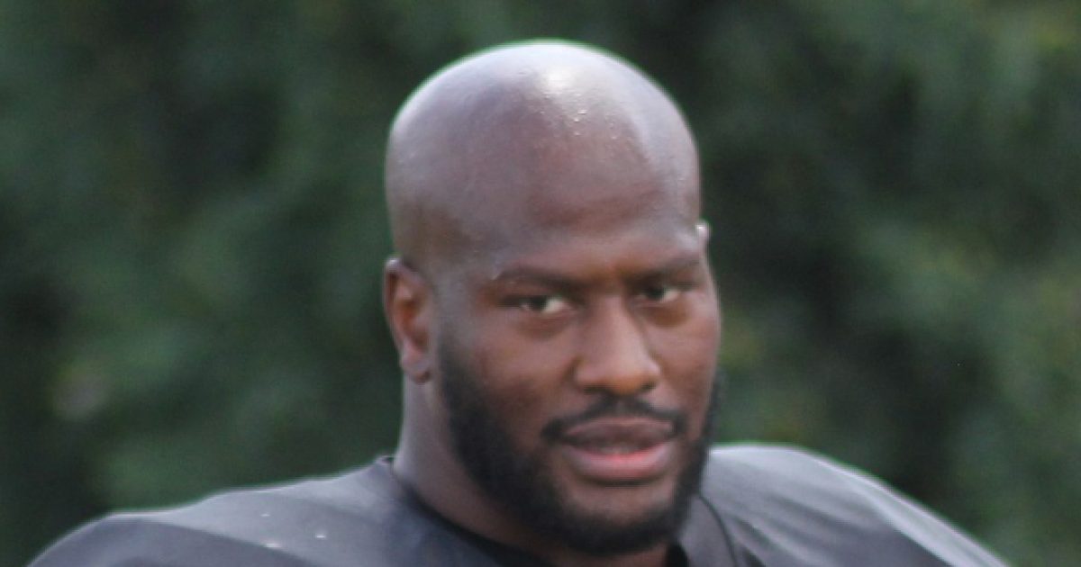 James Harrison makes key plays for New England Patriots