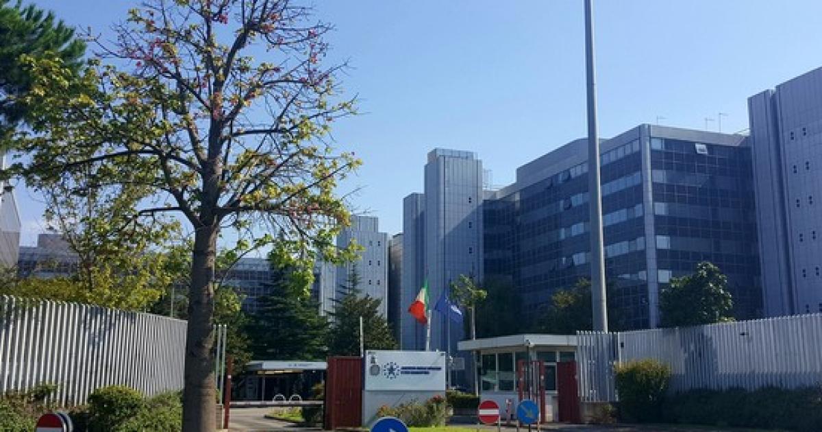 Concorso Agenzia delle Dogane, 50 ingegneri: scadenza febbraio 2018