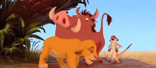 The Lion King's Timon the meerkat: Five interesting facts about his ...