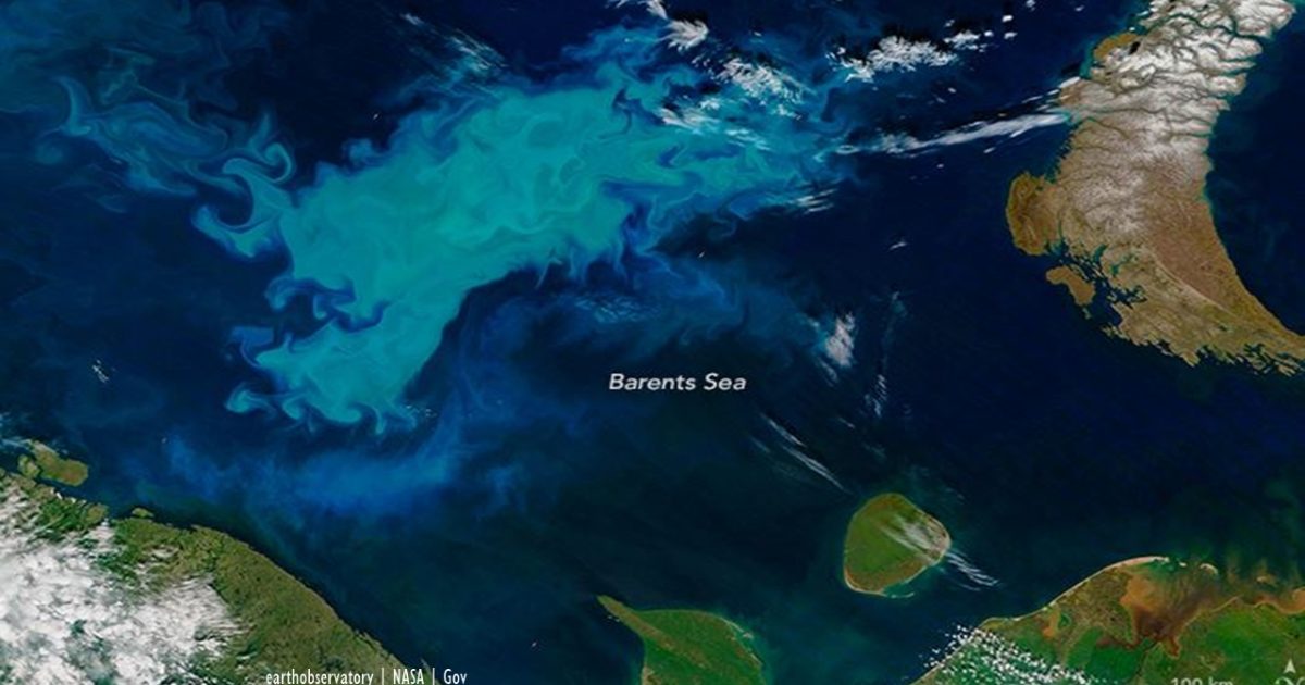 Barents Sea ecosystem mapping fails this year from lack of equipment