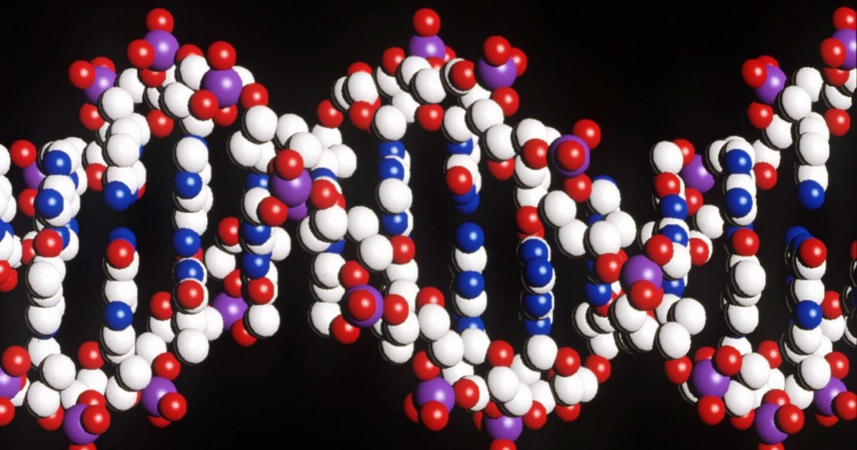 Cina: scienziato afferma di aver modificato geneticamente il DNA di due ...