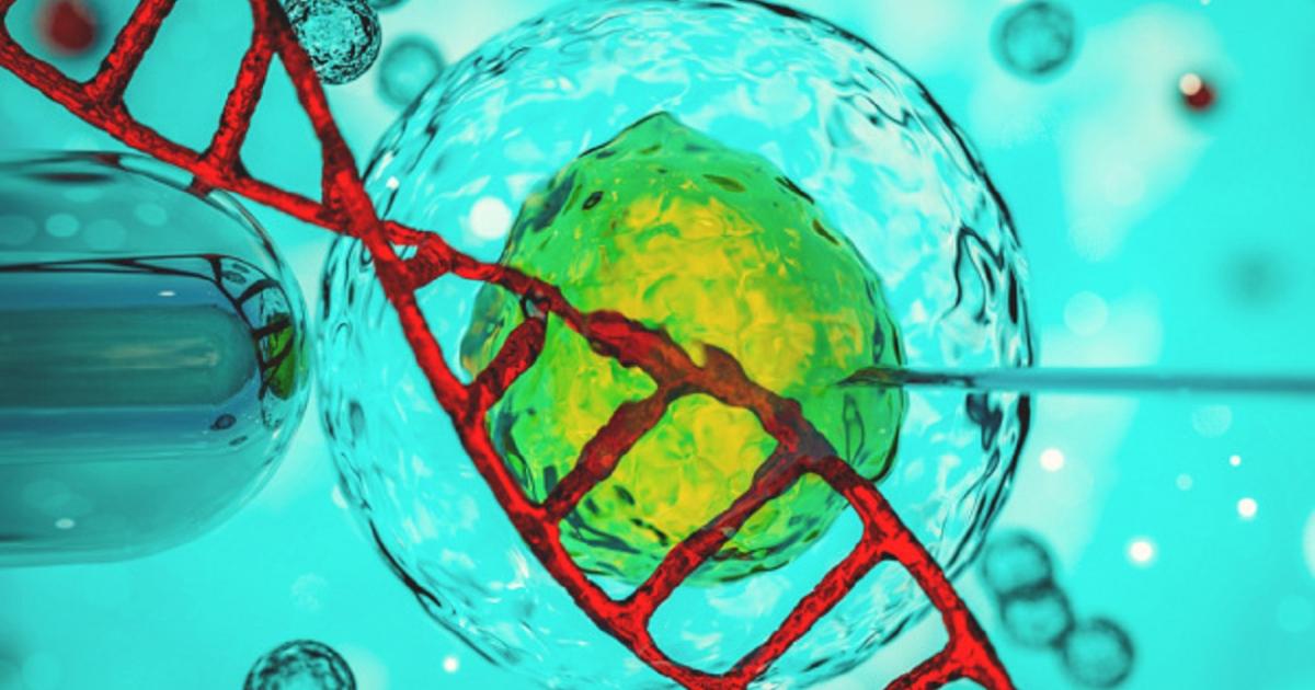 L'esperimento della creazione delle neonate Ogm cinesi: l'Università di ...