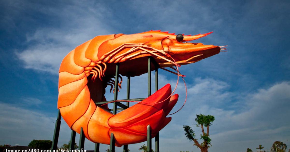 5 bizarre attractions to visit in this weird and wonderful world