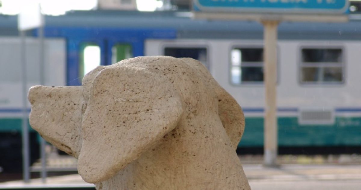 La storia di Lampo, il cane viaggiatore