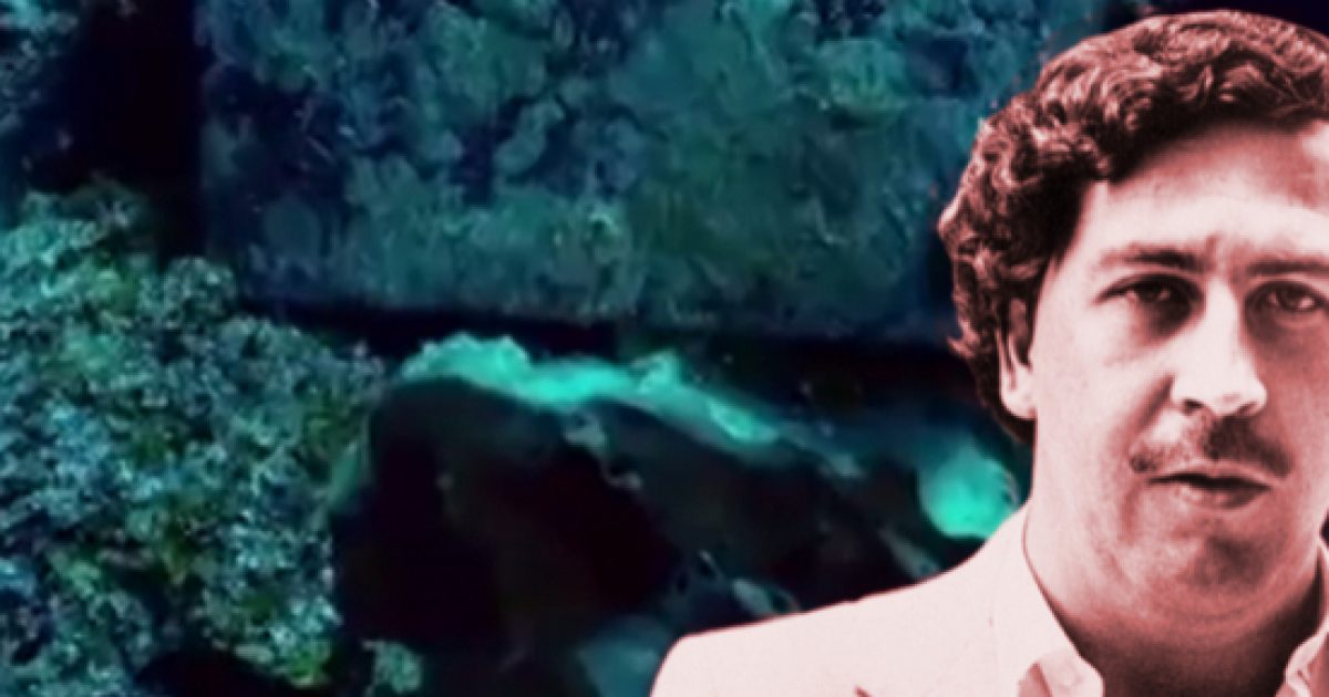 CIA encontra submarino de Escobar que pode levar a fortuna de R$ 216 ...